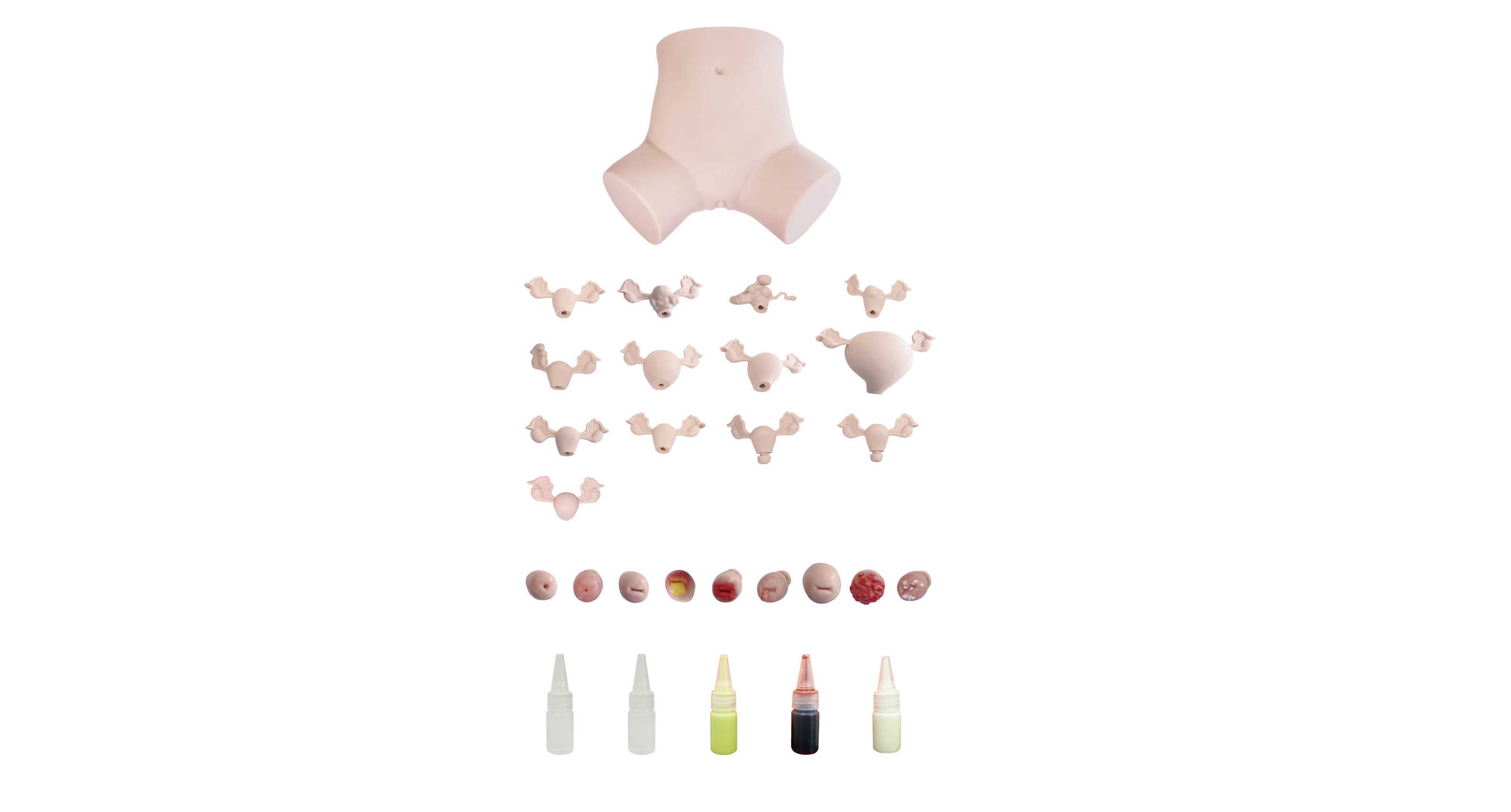 Advanced Gynecologic Simulator Plus_Tellyes Scientific INC.