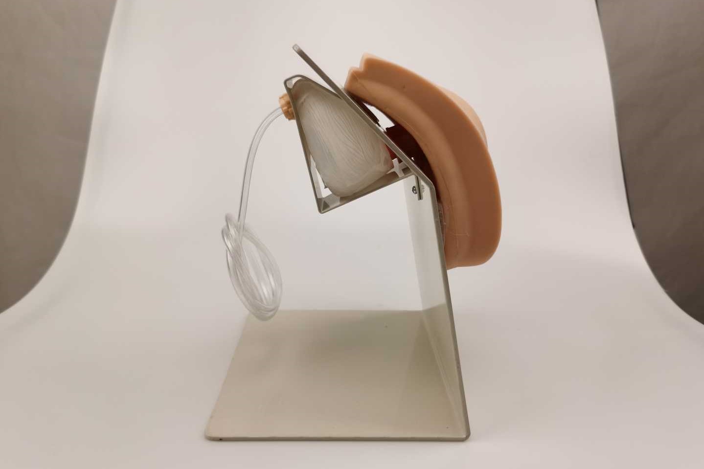 Advanced Wearable Female Catheterization Model_Tellyes Scientific INC.