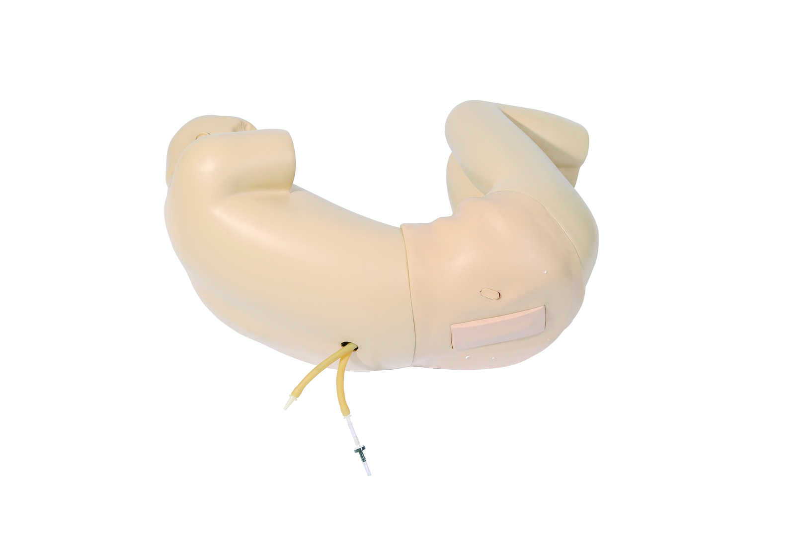 Adult Lumbar Puncture Simulator Tellyes Scientific INC 